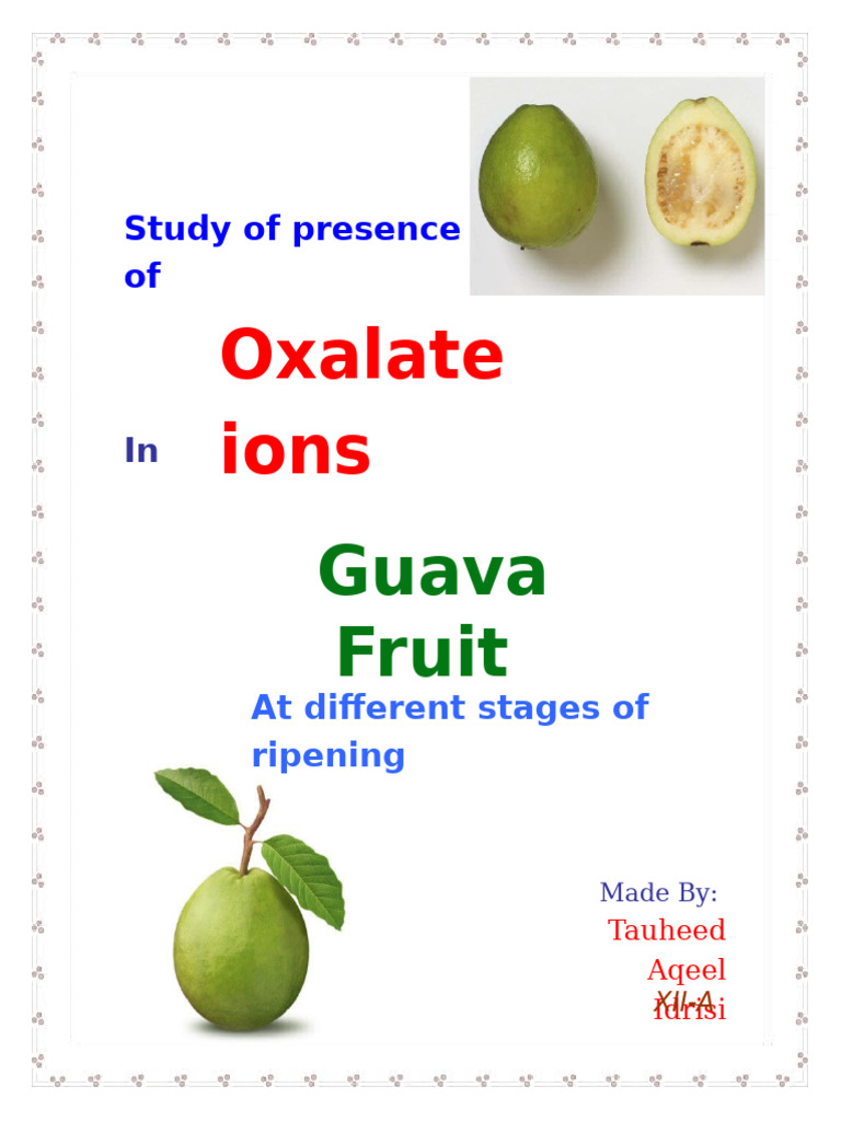 Oxalate Ions in Ripening Guava Fruit | PDF