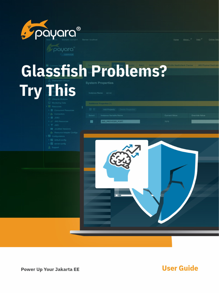 GlassFish Monitoring and Payara Solutions | PDF | Computing ...