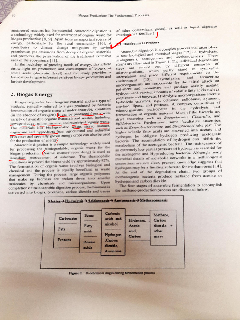 Biogas 1 | PDF