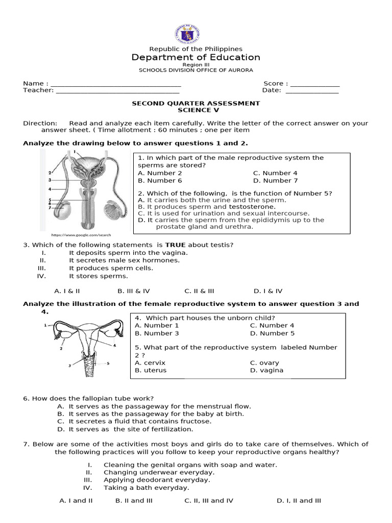 Second Quarter Science Assessment V | PDF | Flowers | Menstrual Cycle