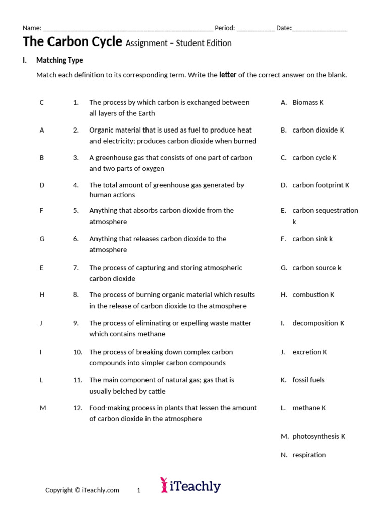 6 8 Assignment SE The Carbon Cycle | PDF | Carbon Cycle | Carbon Sink