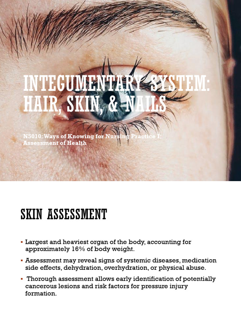 Integumentary System Assessment Guide | PDF | Skin | Integumentary System