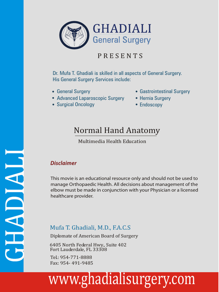 Normal Hand Anatomy | PDF | Hand | Anatomical Terms Of Motion