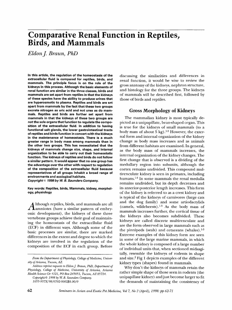 Reptile vs. Amphibian Kidney Structure | PDF | Kidney | Organ (Anatomy)