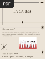 Etapas y Grados de Caries PDF | PDF | Diente | Odontología