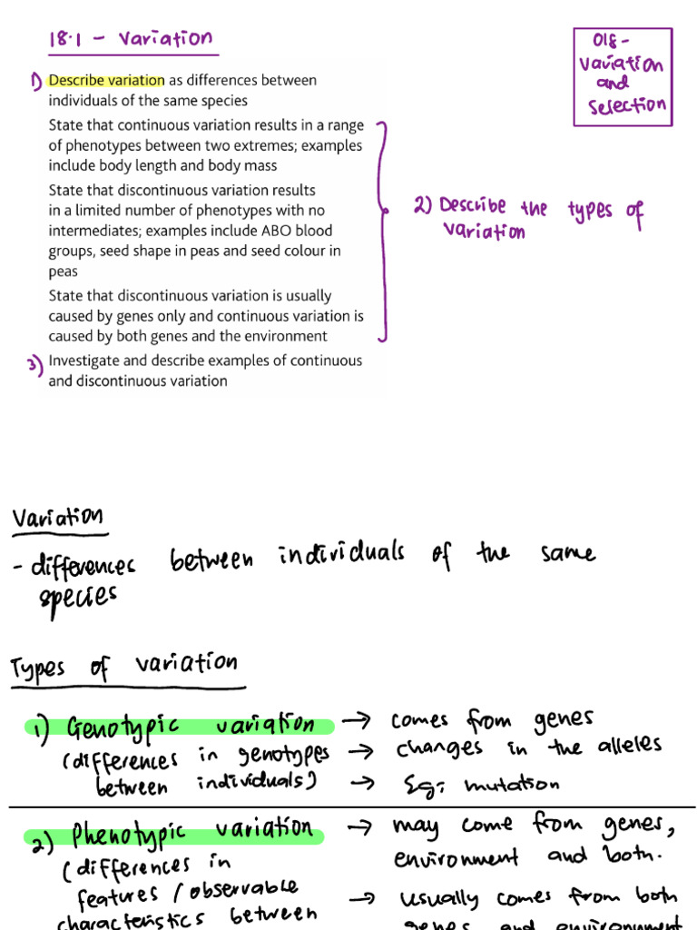 Types of Variation and Mutations Explained | PDF | Genetic Diversity ...