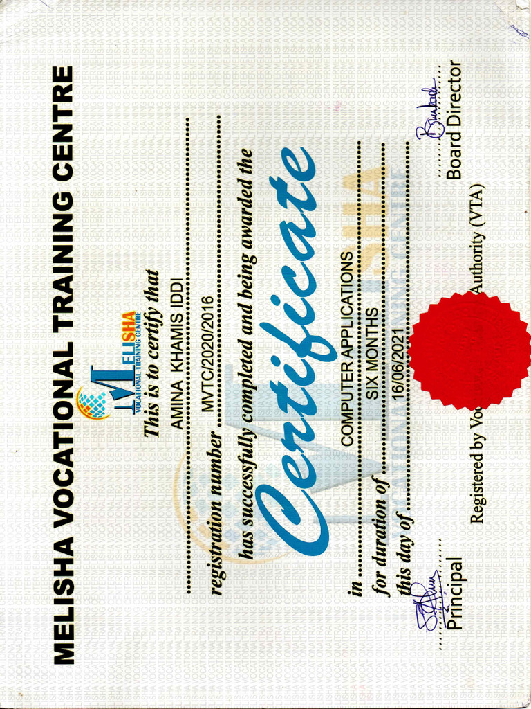 Amina Computer CRT | PDF