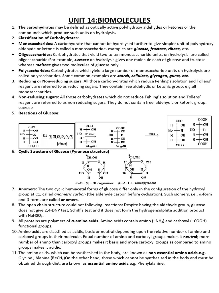BIOMOLECULES Class 12 | PDF | Carbohydrates | Glucose