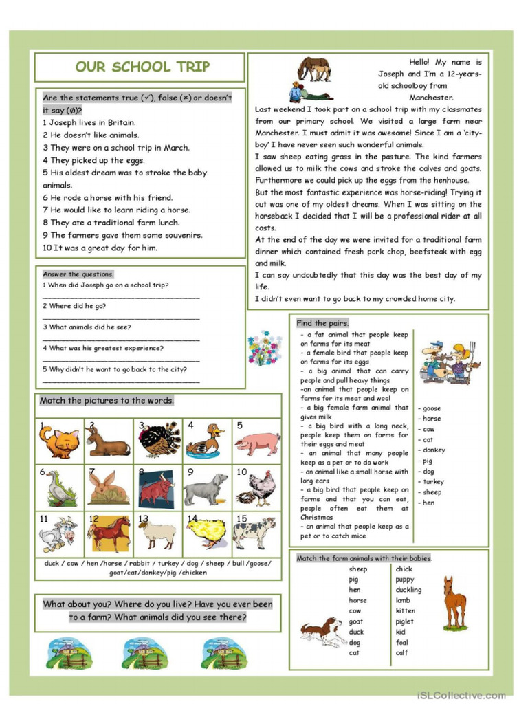 Animals, Pets and Farm Animals | PDF
