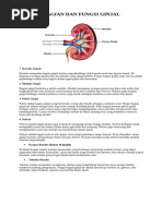 Struktur dan Fungsi Ginjal dan Nefron | PDF