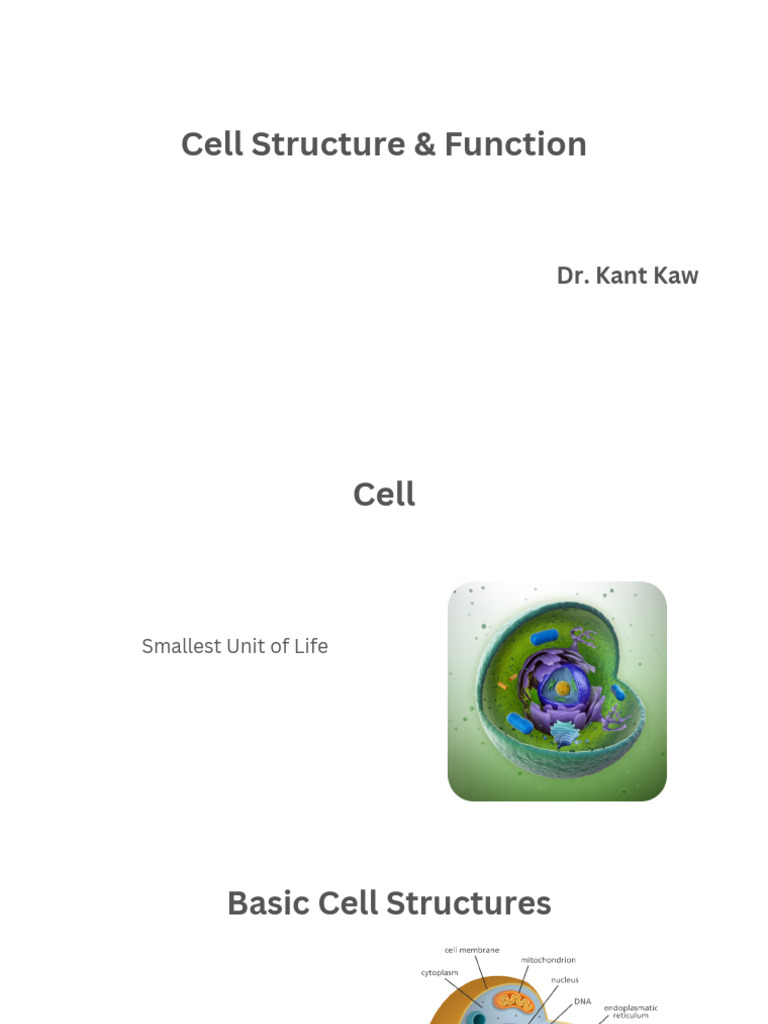 Cell Structure & Function | PDF