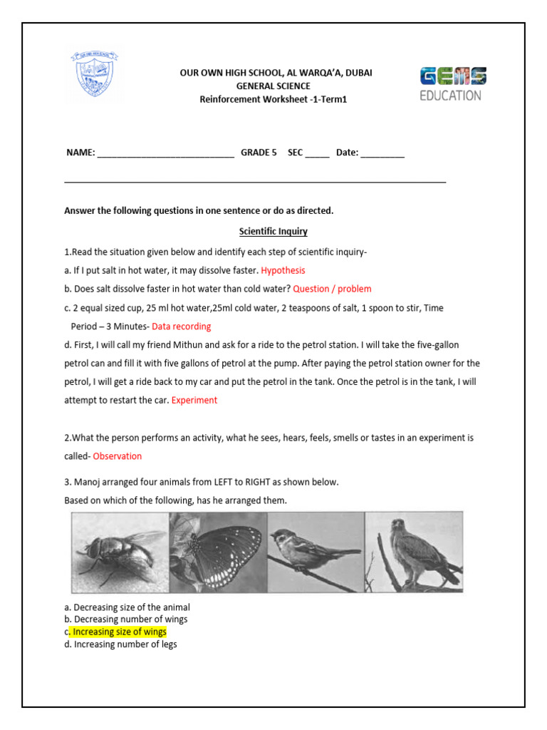GR 5 Reinforcement WS - 1 Answer Key | PDF | Seed | Plants