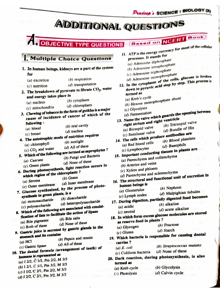 Life Processes Practice Questions Pradeep | PDF