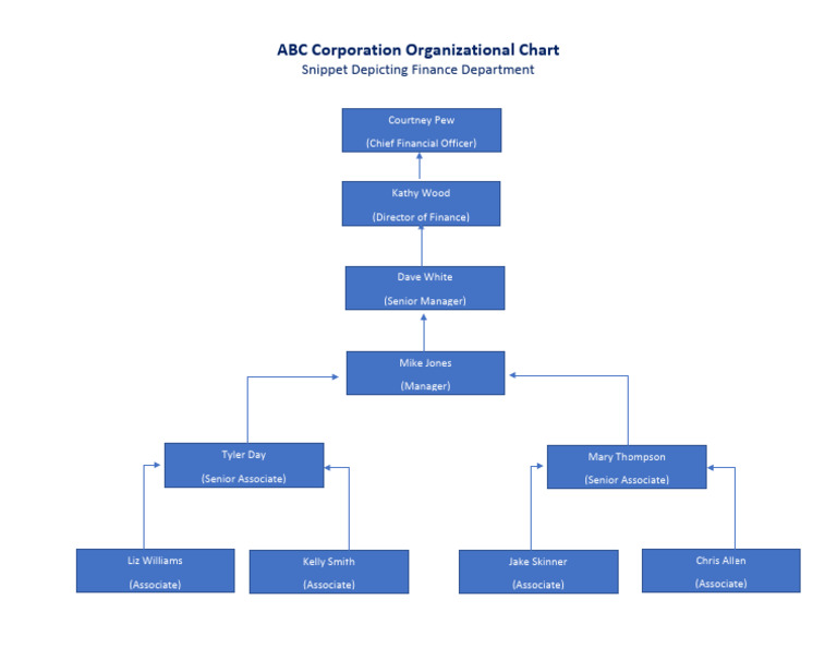 ABC Corp Finance Department Structure | PDF