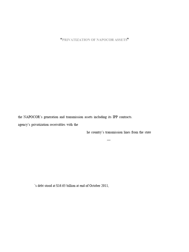Reaction - PRIVATIZATION OF NAPOCOR ASSETS | PDF