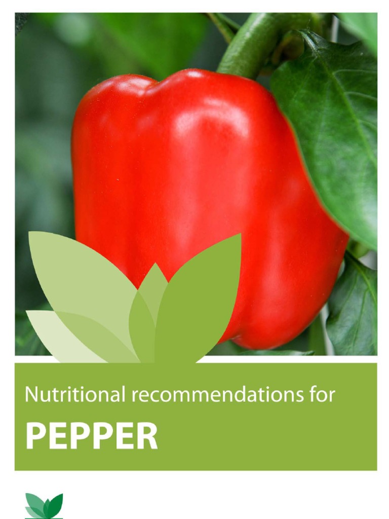 Nutritional Guidelines for Pepper Cultivation | PDF