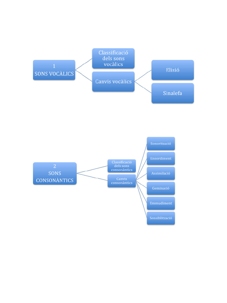 Esquema Fonètica | PDF
