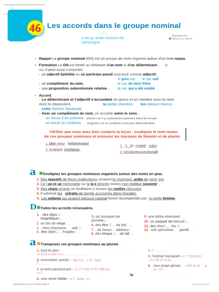 Accords dans le groupe nominal | PDF | Linguistique | Grammaire