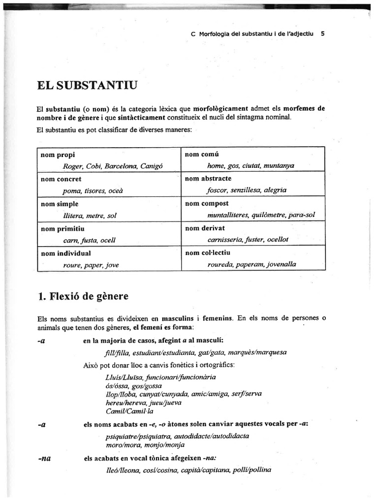 Adjectiu I Substantiu | PDF