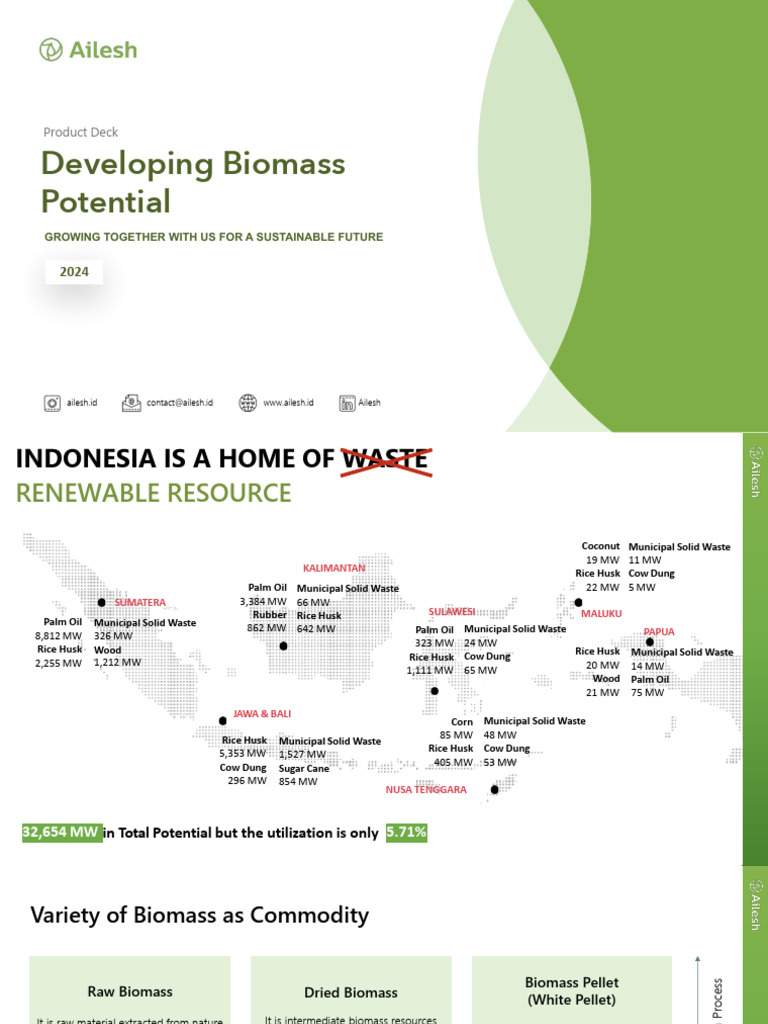 Indonesia's Biomass Energy Potential | PDF | Gasification ...