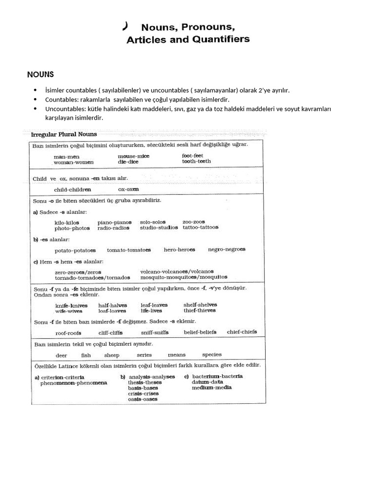 Nouns, Pronouns, Articles, Quantifiers | PDF