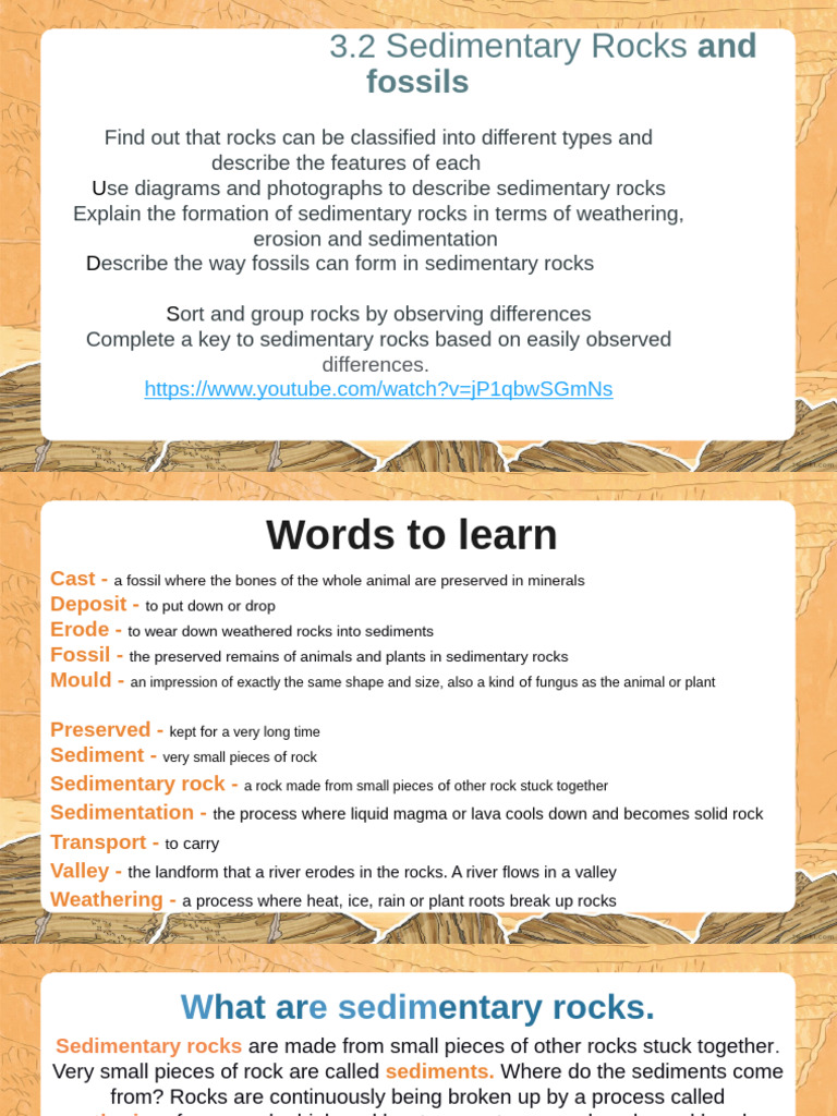 What Is Sedimentary Rock | PDF | Sedimentary Rock | Rock (Geology)