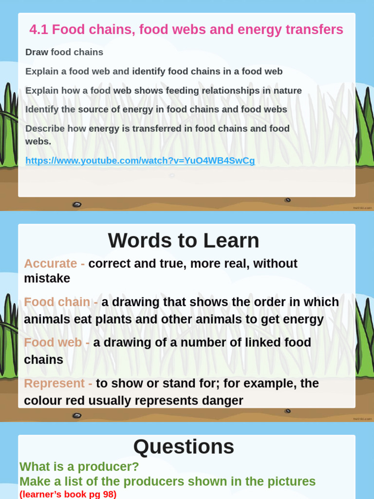 4.1 Food Chains, Food Webs and Energy Transfers | PDF | Foods | Food Web
