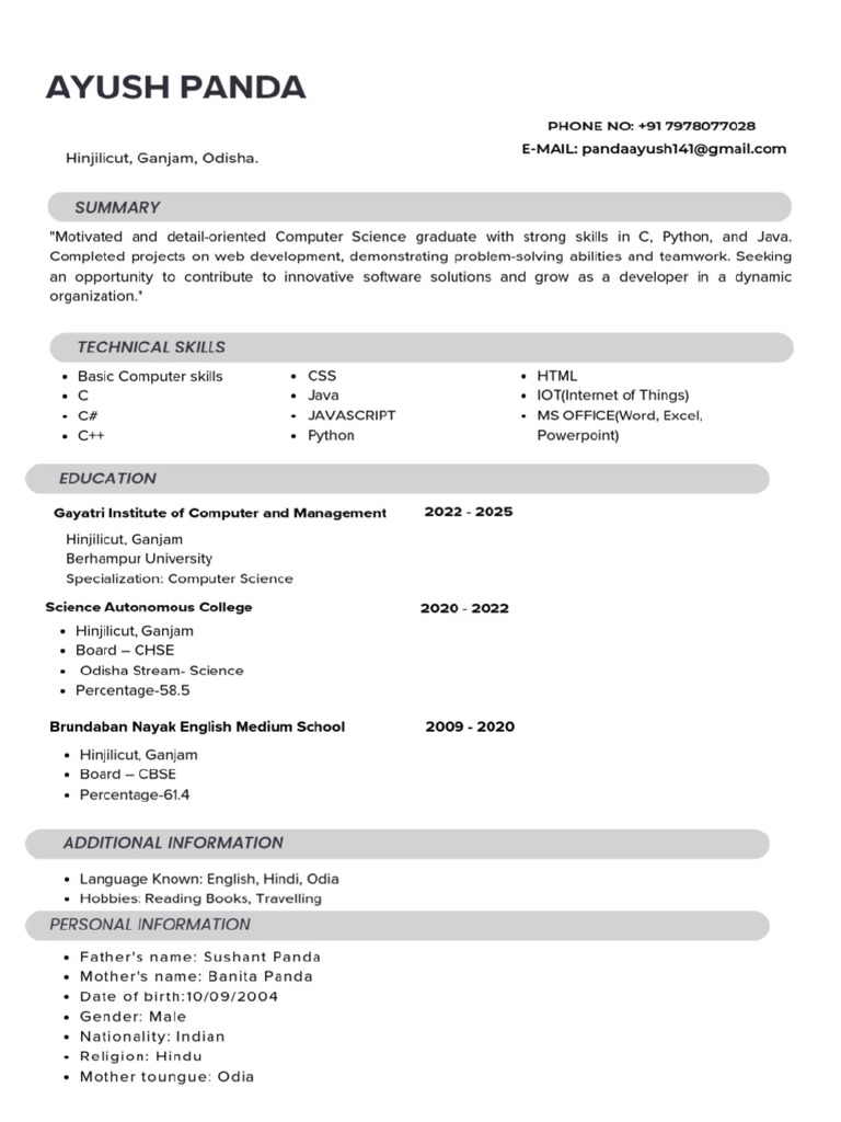 T Software Engineer Simple Resume 2 | PDF