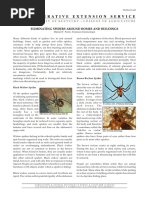 War Against Witchcraft Spider and Evil Cobwebs | PDF | Spider Web | Spider