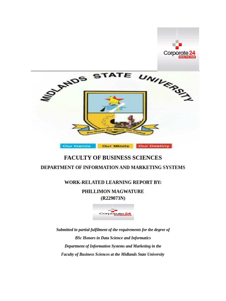 Report Overview Pdf Marketing Analytics