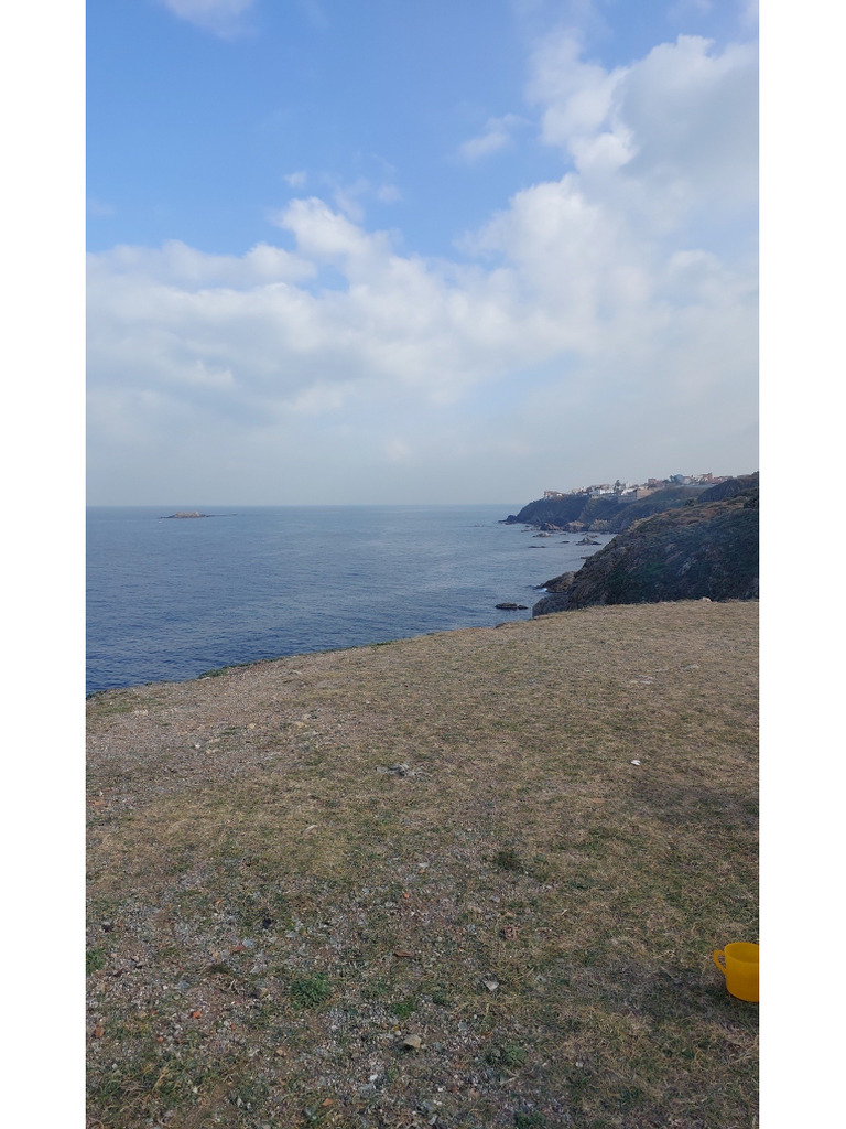 Image To PDF 20250112 12.37.00 | PDF