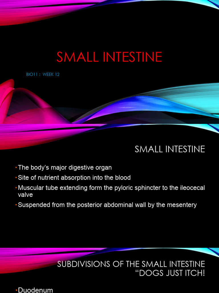 Bio11 Week12 Small and Large Intestine | PDF | Small Intestine | Digestion