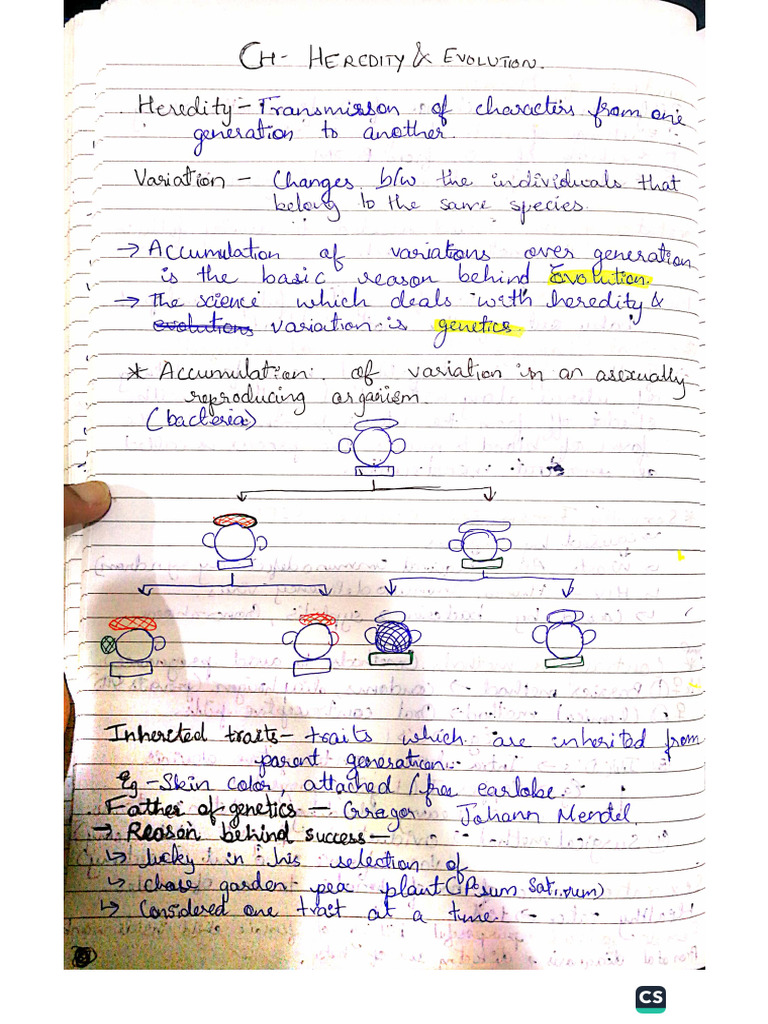 heredity - notes | PDF