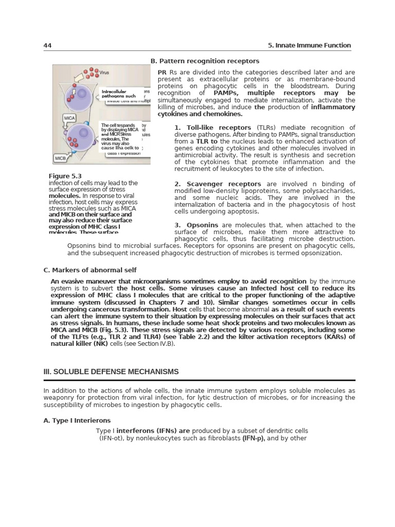 Soluble Defence | PDF | Complement System | Immune System
