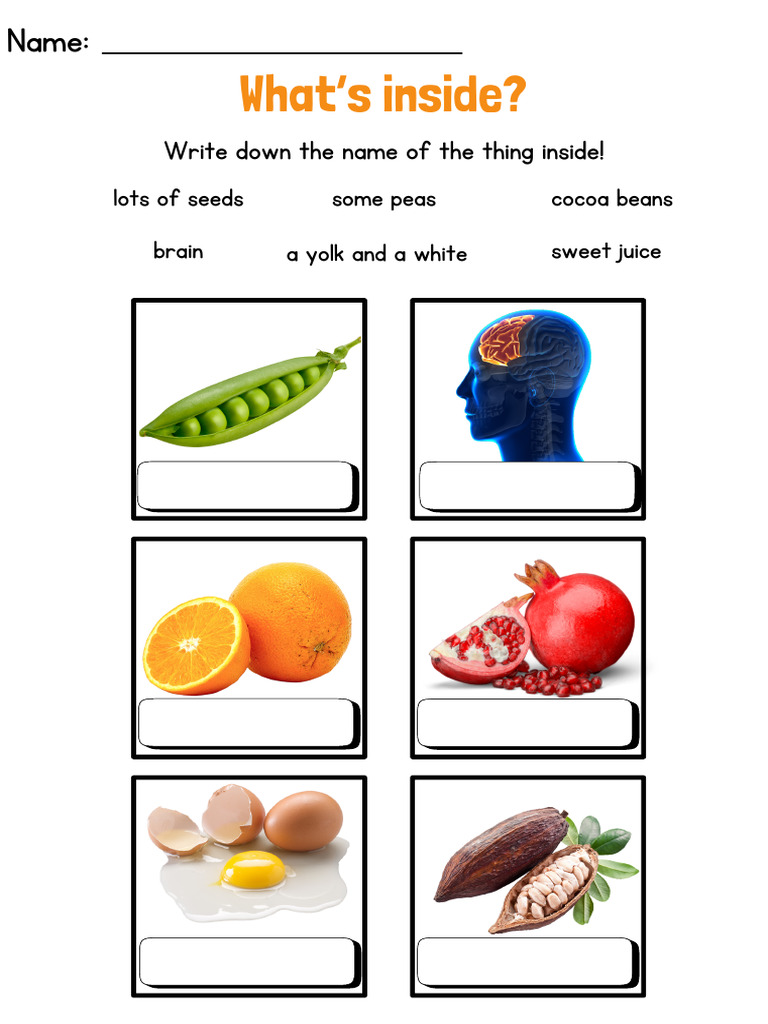 Plant-Based Food Worksheet | PDF