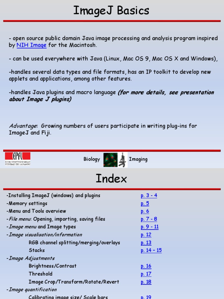 ImageJ Basics | Rgb Color Model | File Format