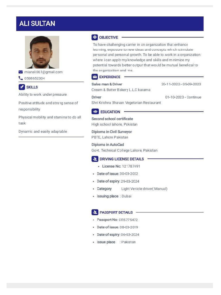Mamun CV Demo | PDF