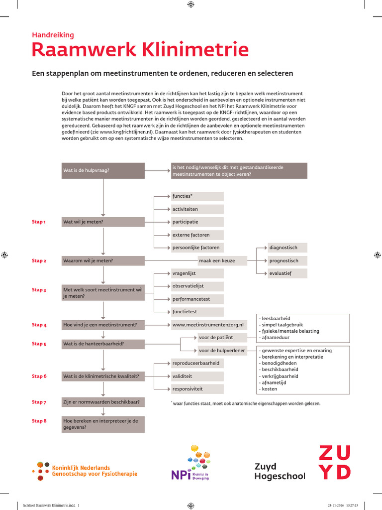 Factsheet Raamwerk Klinimetrie | PDF