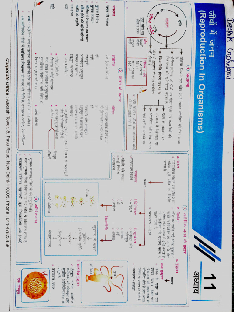 Complete 12th Zoology Ncert Map | PDF