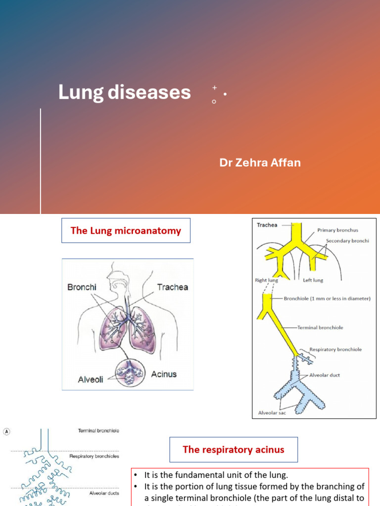 Lung diseases | PDF | Respiratory Diseases | Lung