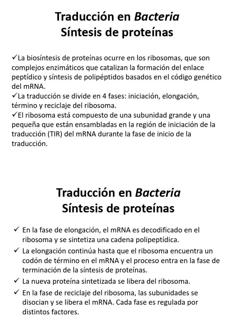 Gen Tica Microbiana Traducci N | PDF | Traducción (biología) | Codigo ...