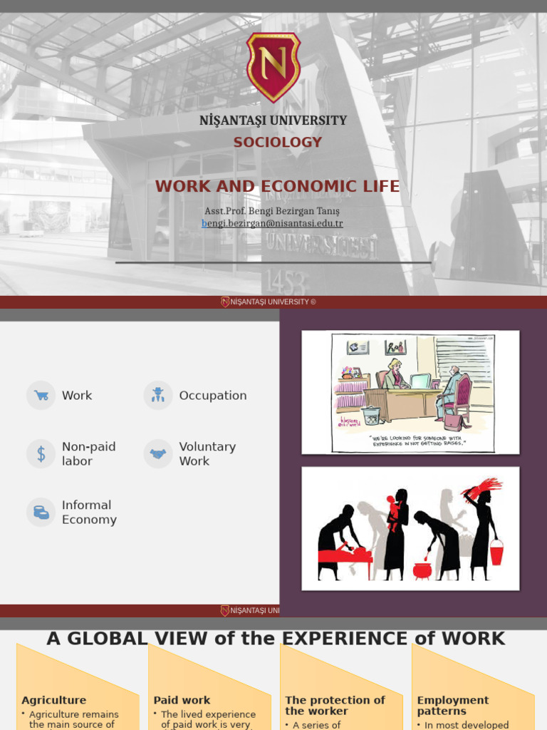 Sociology of Work & Economy | PDF | Business | Production And Manufacturing