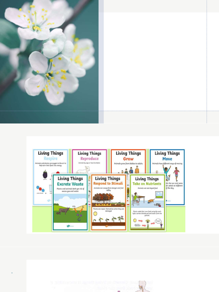 Bio Ch-5 Life Processes - I | PDF | Nutrition | Diet & Nutrition