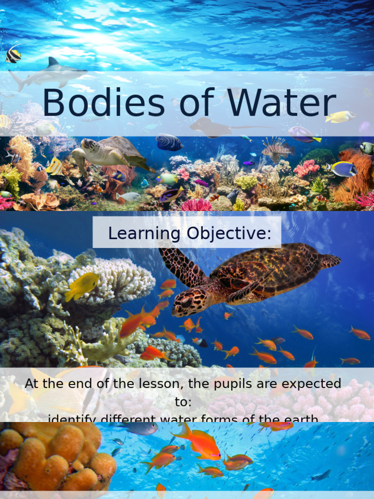 Types of Earth's Water Bodies Explained | PDF