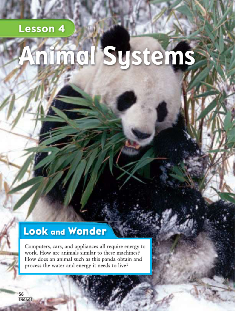 Chapter-1 - Lesson-4 - Animal Systems | PDF