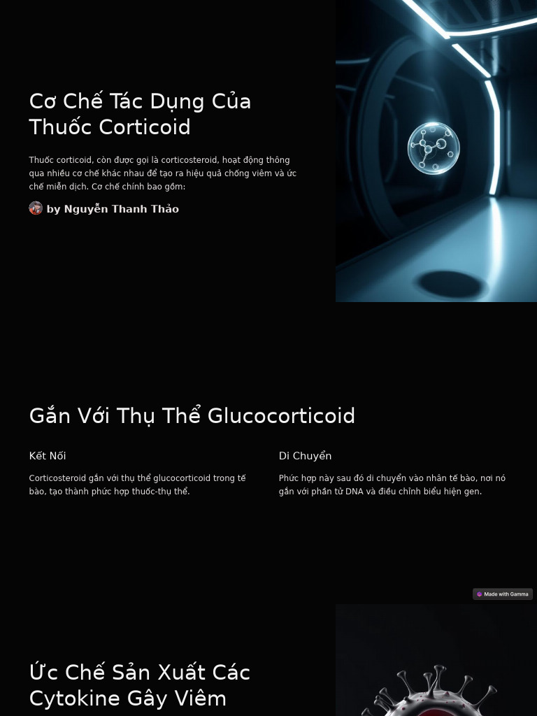 Co Che Tac Dung Cua Thuoc Corticoid | PDF