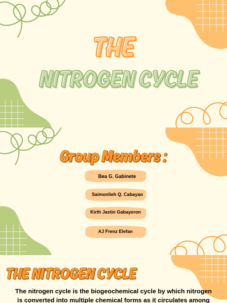 Nitrogen-Cycle | PDF | Nitrogen | Systems Ecology
