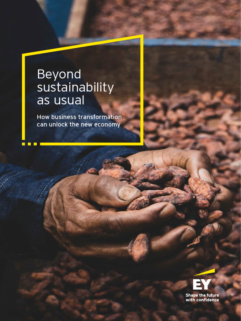 EY New Economy Unit Beyond Sustainability As Usual 1732290492 | PDF ...