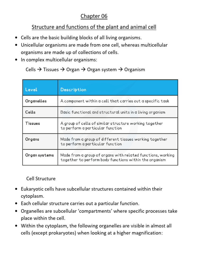 Plant and Animal Cell Structures Explained | PDF