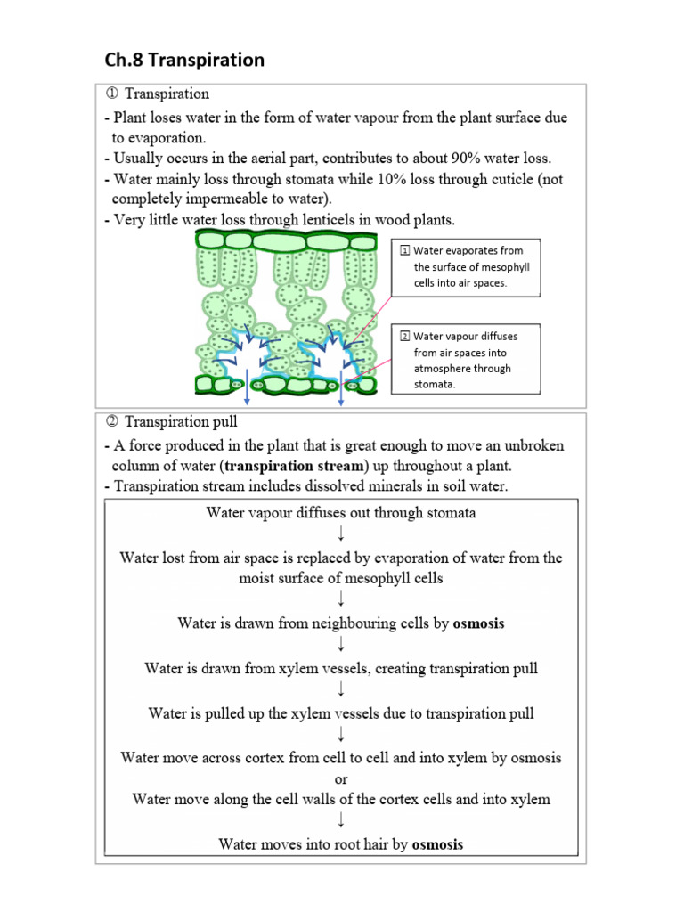 Bio Ch.8 Transpiration | PDF | Stoma | Organisms